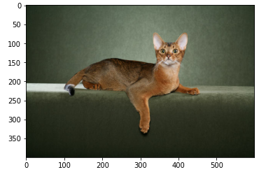 tensorflow2.3.0图像定位（一）_tensorflow检测原图中是否有目标图-CSDN博客