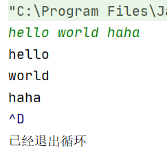 初学者深入理解hasNext（）以及其作为循环条件时如何退出循环_scanner.hasnext() 怎么跳出-CSDN博客