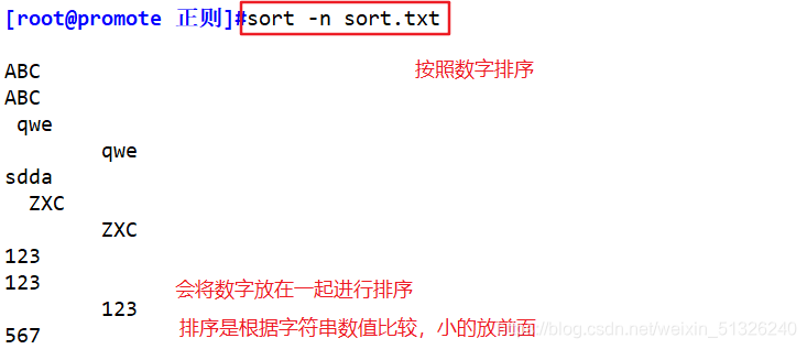 偷偷学习shell脚本之正则表达式(外加sort、uniq和tr)shell Tr D 正则表达式 Csdn博客
