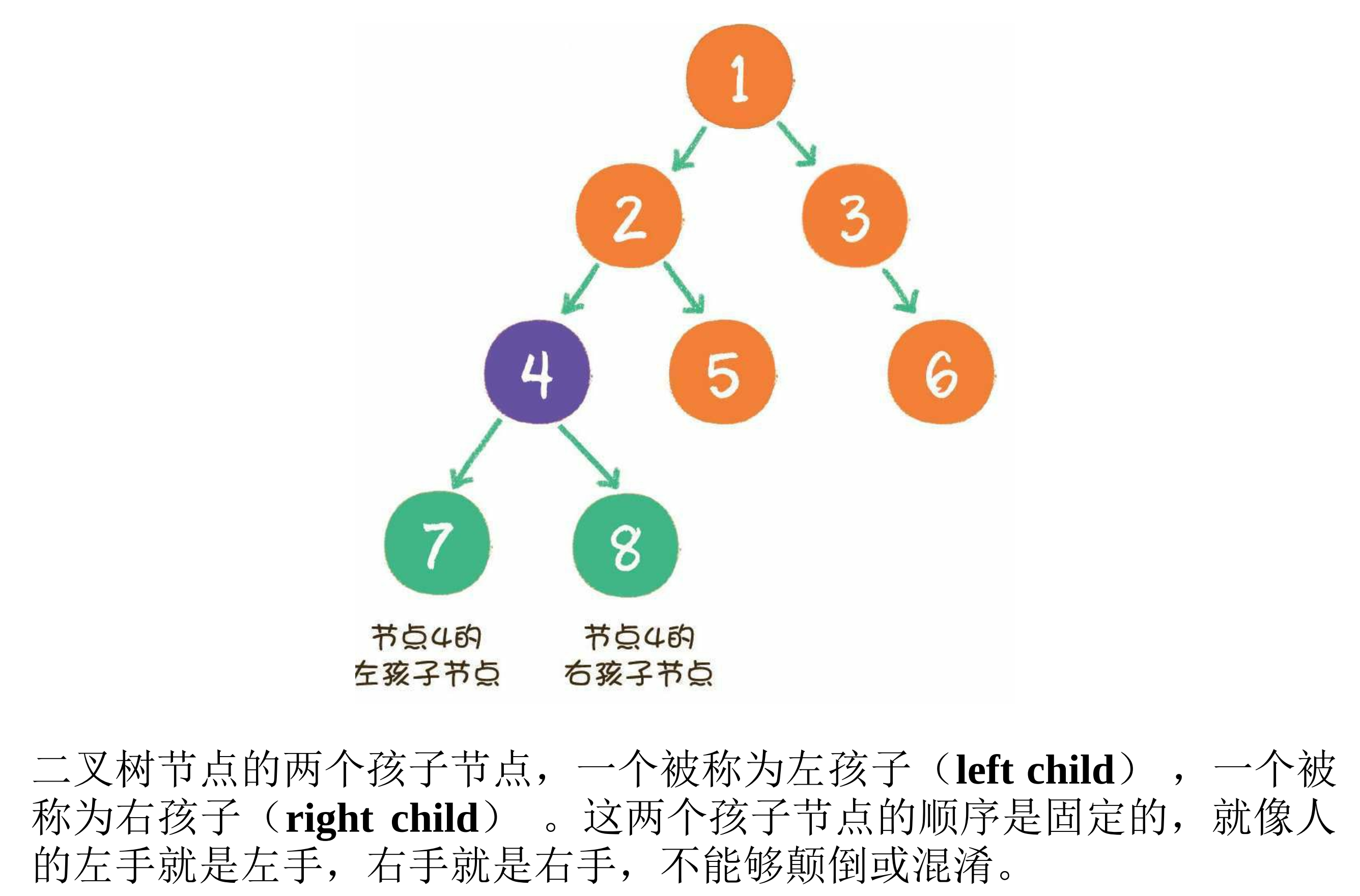 数据结构 树与深度优先遍历树的深度优先遍历 Csdn博客 
