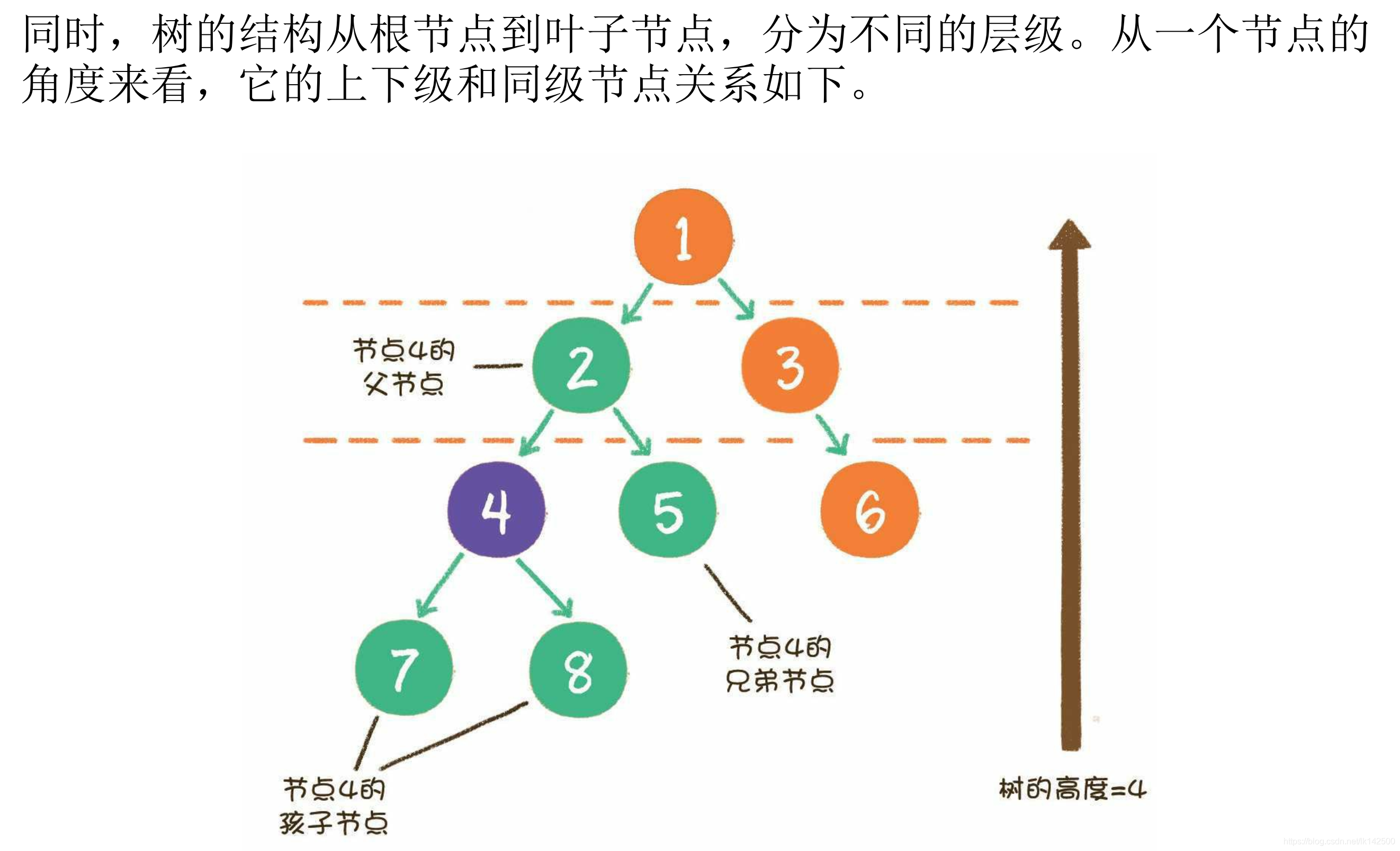 数据结构 树与深度优先遍历树的深度优先遍历 Csdn博客