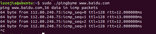 【博客407】用socket编程实现ping命令自己实现ping程序rtt总是0 Csdn博客