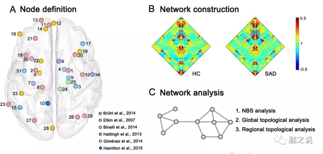 NeuroImage：脑网络分析揭示社交焦虑症患者的大脑功能环路异常_脑网络 nbs-CSDN博客