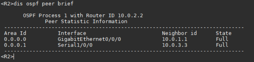 NP、OSPF监测调试_debugging ospf packet-CSDN博客