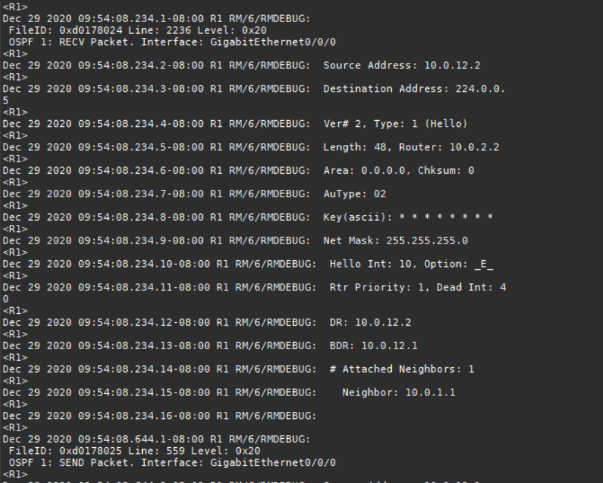 NP、OSPF监测调试_debugging ospf packet-CSDN博客