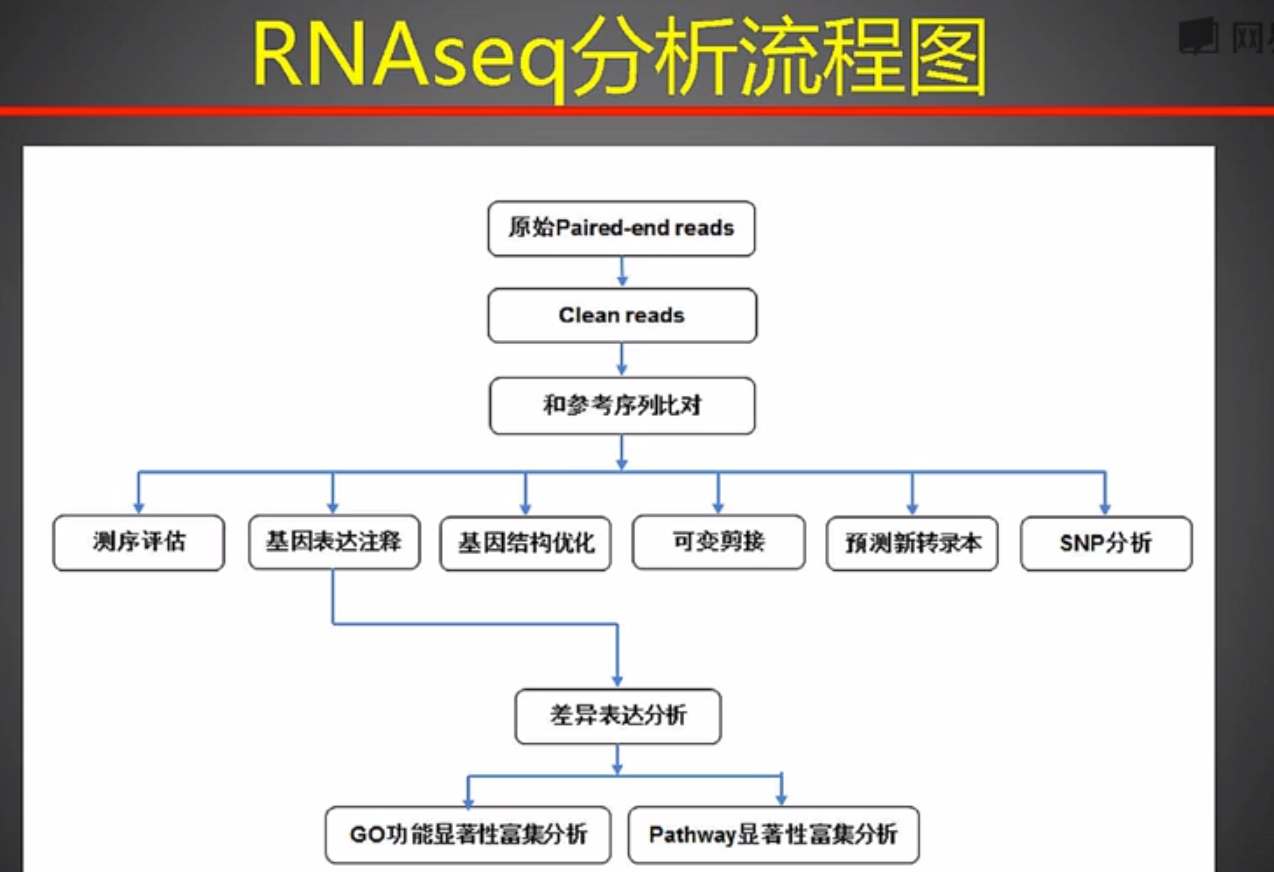 RNAseq数据分析--第5-7课_rna-seq分析有参考基因组和无参考基因组的异同-CSDN博客
