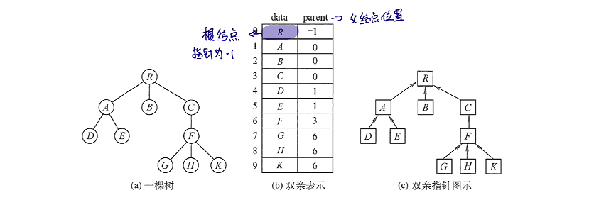 数据结构 树与森林 森林与二叉树的转换（例题）森林与二叉树的转换例题 Csdn博客 