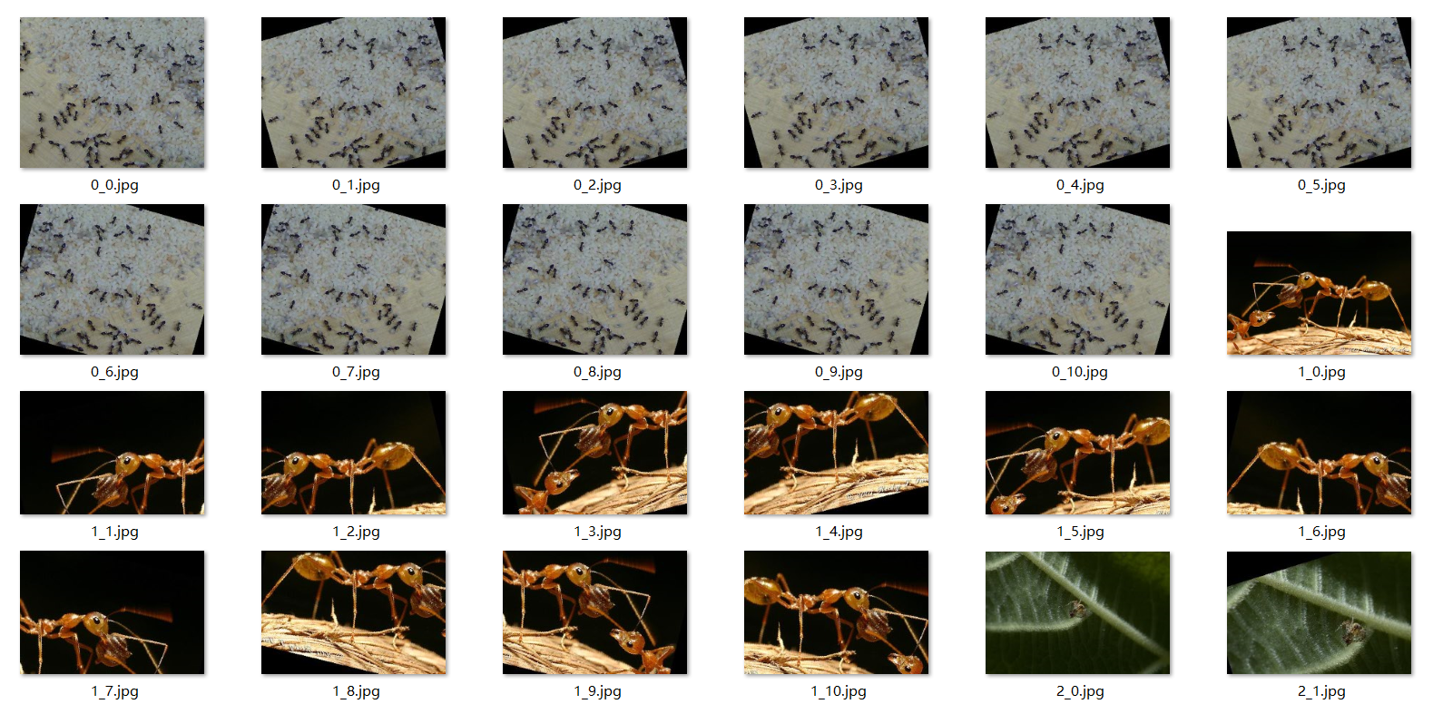 PyTorch 笔记Ⅸ——数据增强_randomhorizontalflip-CSDN博客