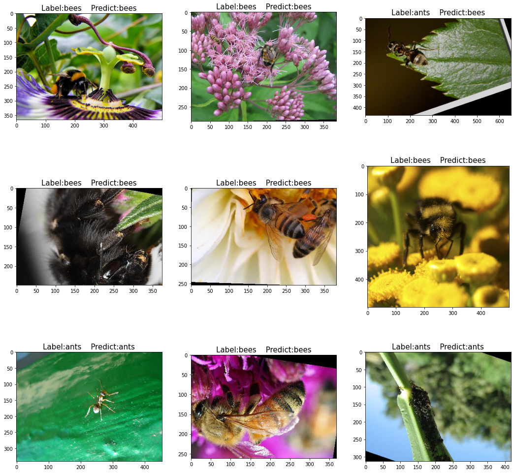 PyTorch 笔记Ⅹ——迁移学习ResNet18_&_VGG16_resnet替换vgg做迁移学习-CSDN博客