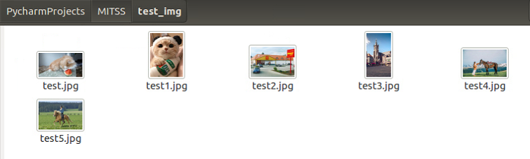 使用Pytorch实现语义分割Semantic Segmentation_semantic-segmentation-pytorch-CSDN博客