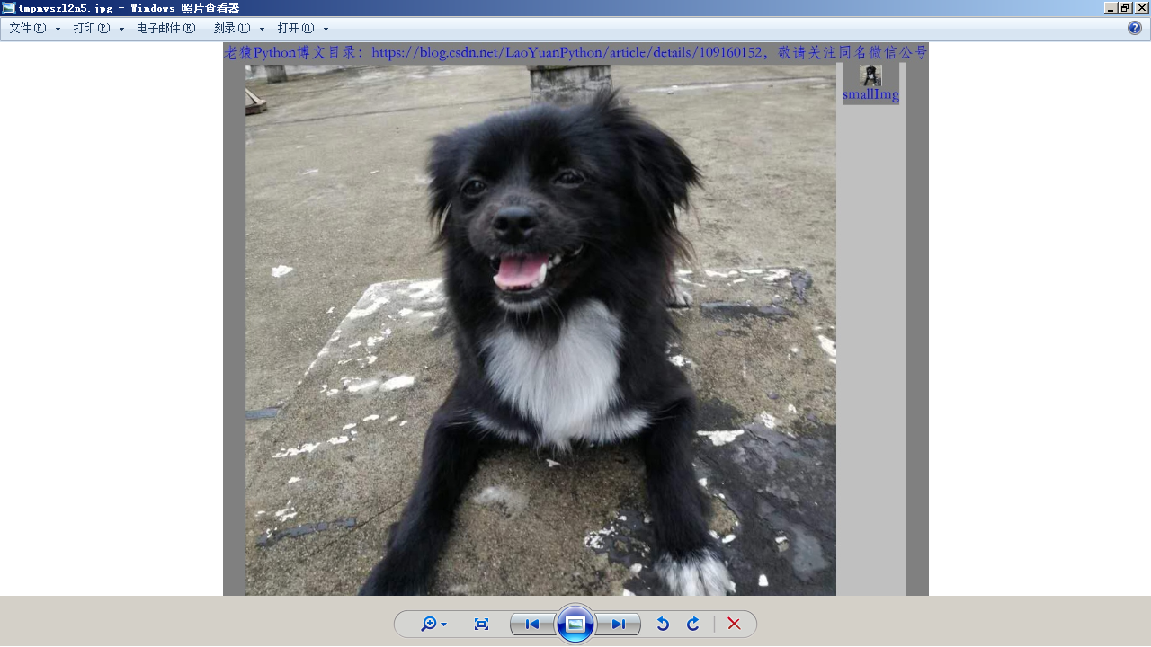 Opencv Python图像处理：插值方法及使用resize函数进行图像缩放opencv Resize Csdn博客 5021