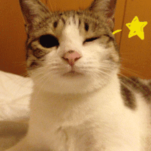 js报错 Uncaught DOMException: Failed to execute ‘getImageData‘ on ‘CanvasRenderingContext2D‘: The ...