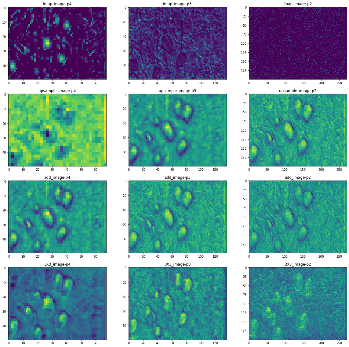 FPN的代码理解（可视化）_fpn inner-CSDN博客