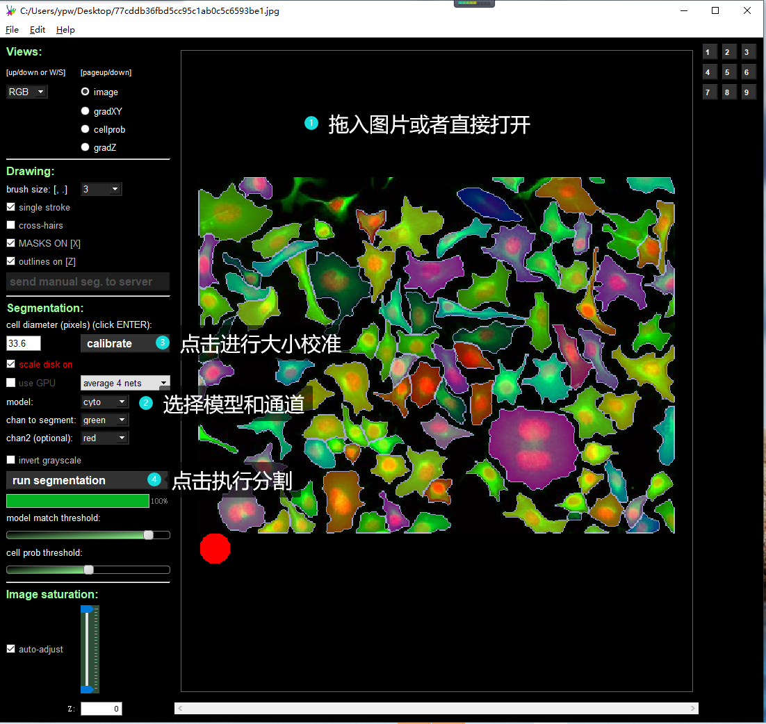 Cellpose的安装与使用-CSDN博客