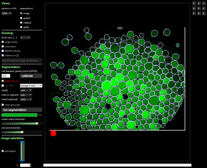 Cellpose的安装与使用-CSDN博客