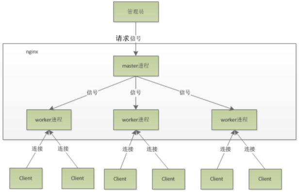 Nginx学习总结nganx Csdn博客 