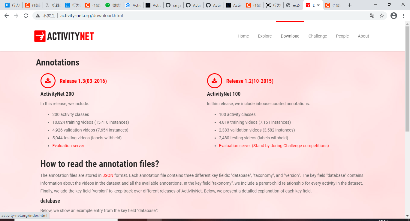 ActivityNet数据集解析-CSDN博客