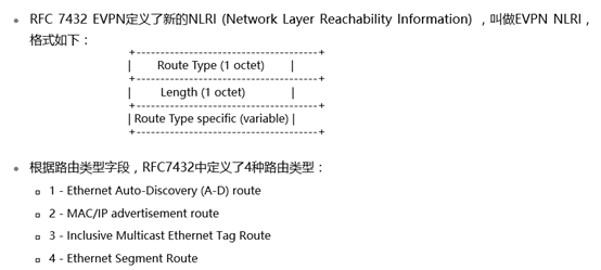 BGP Ethernet Virtual Private Network技术原理_多归单活和多归多活是什么意思-CSDN博客