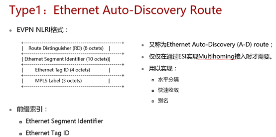 BGP Ethernet Virtual Private Network技术原理_多归单活和多归多活是什么意思-CSDN博客