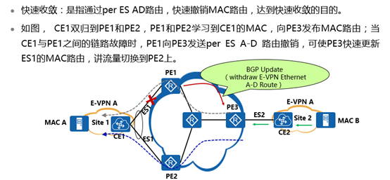 BGP Ethernet Virtual Private Network技术原理_多归单活和多归多活是什么意思-CSDN博客