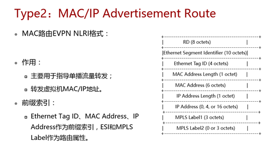BGP Ethernet Virtual Private Network技术原理_多归单活和多归多活是什么意思-CSDN博客