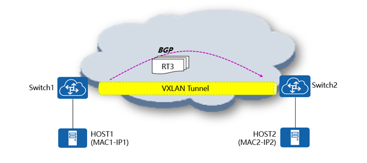 BGP Ethernet Virtual Private Network技术原理_多归单活和多归多活是什么意思-CSDN博客