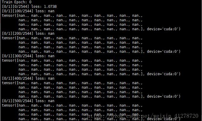 深度学习训练过程中loss出现nan的原因及可采取的方法_loss =nan-CSDN博客