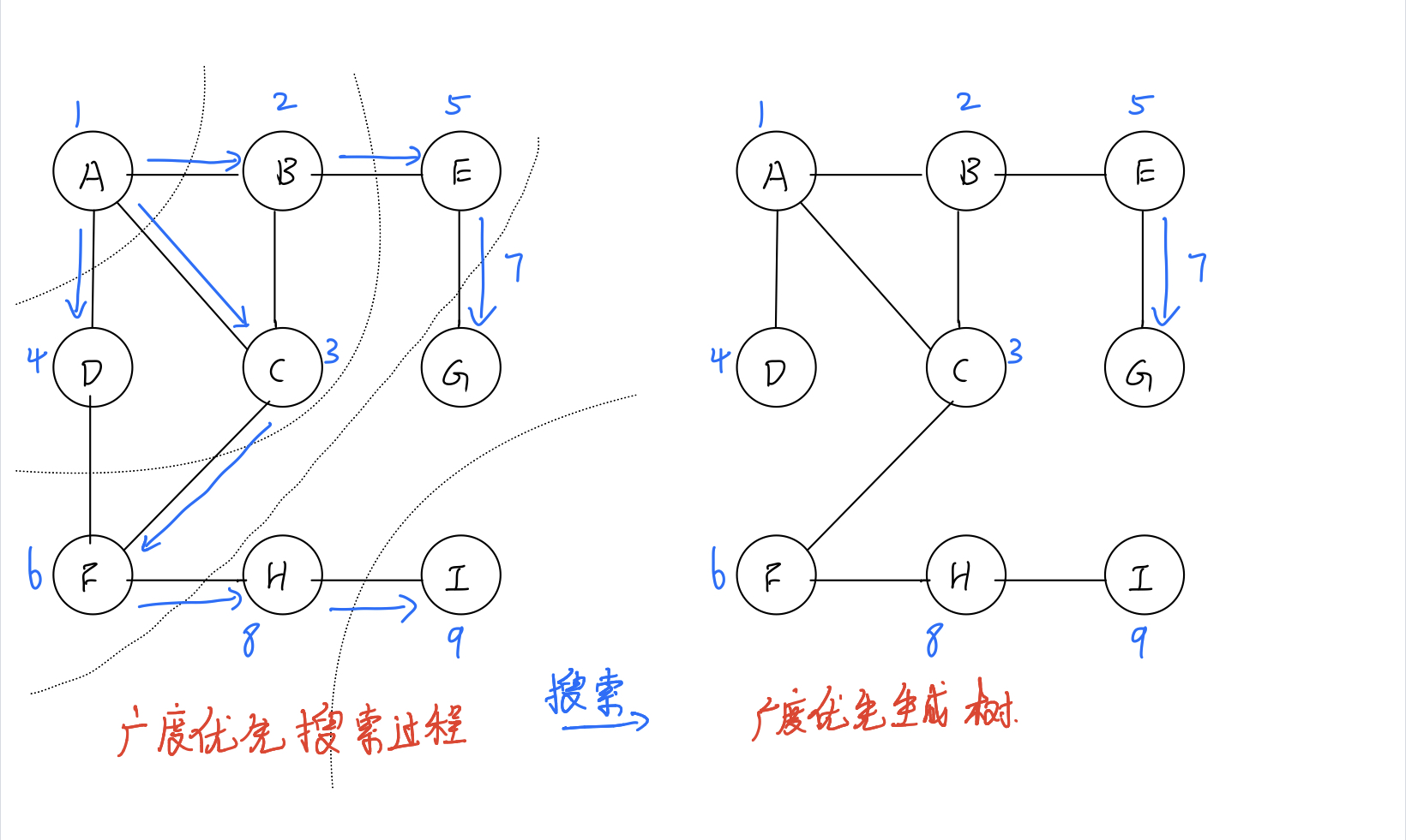 数据结构-图_稀疏图e小于nlogn是以2为底-CSDN博客