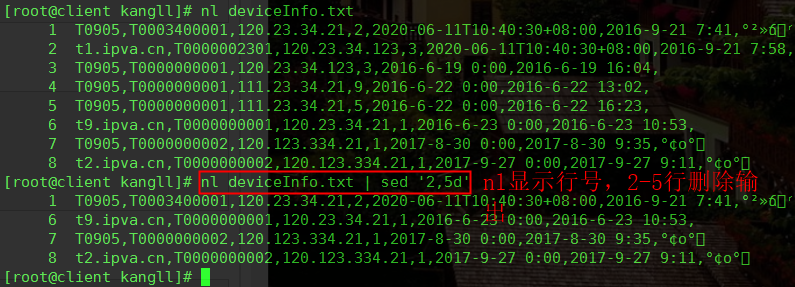 【Linux】 sed命令详解_linux sed-CSDN博客