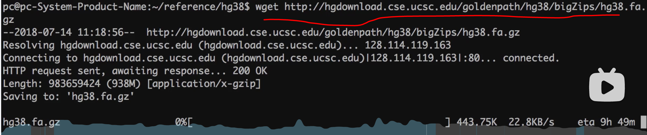 人类基因组hg38_hg38 ftp ucsc-CSDN博客