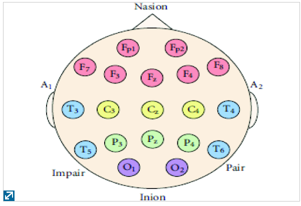 EEG基础_eeg信号基础-CSDN博客