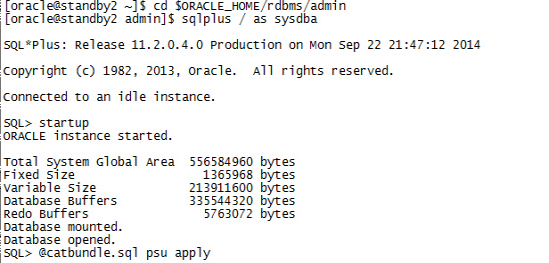 Oracle数据库升级：从10.2.0.1到11.2.0.4_oracle10.2.0.3.0 升级到11.2.0.4-CSDN博客