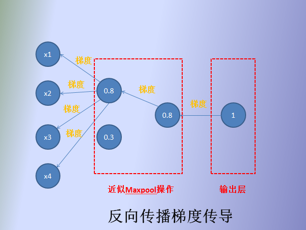理解MaxPool最大池化的作用与反向传播-CSDN博客