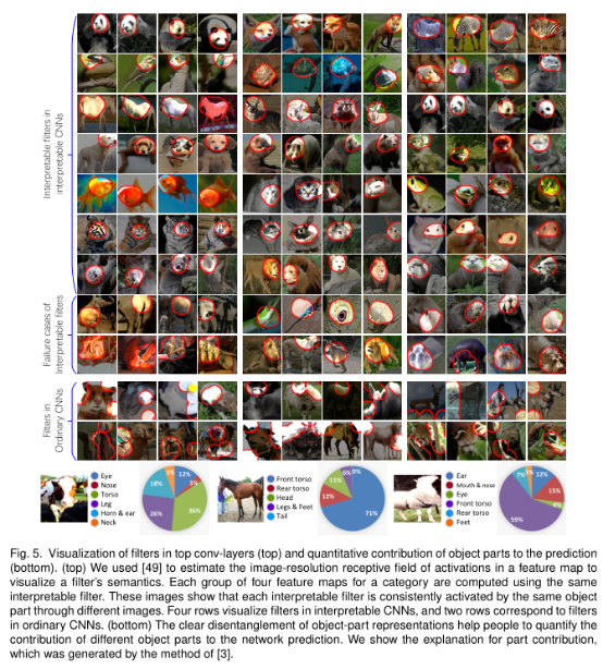 Interpretable CNNs for Object Classification 研读-CSDN博客