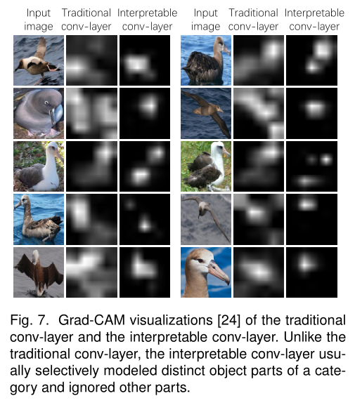 Interpretable CNNs for Object Classification 研读_丝萝愿为乔木的博客-CSDN博客