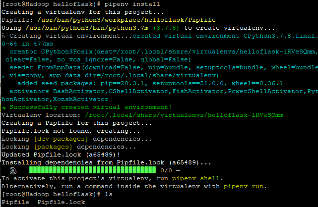 pipfile和pipfile.lock、virtualenv、pipenv、pip-CSDN博客