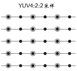 常见YUV视频格式分析及格式转换_yuv4转yuyv-CSDN博客