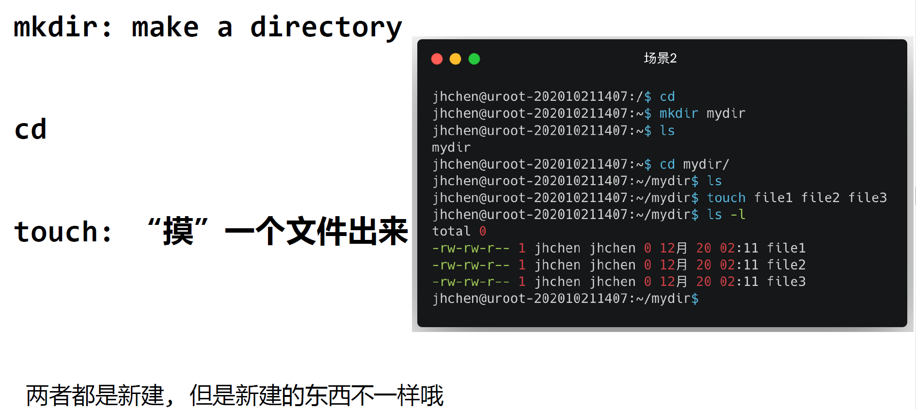 Linux系统介绍 文件夹和文件管理命令 10个（pwd ls cd mkdir touch mv rm cp tar ln）_cp tar ls ll cd . .. ~-CSDN博客