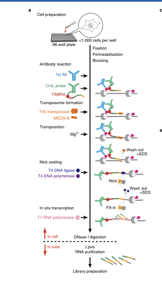 技术解读｜CHIP技术简介_chip-rx技术-CSDN博客