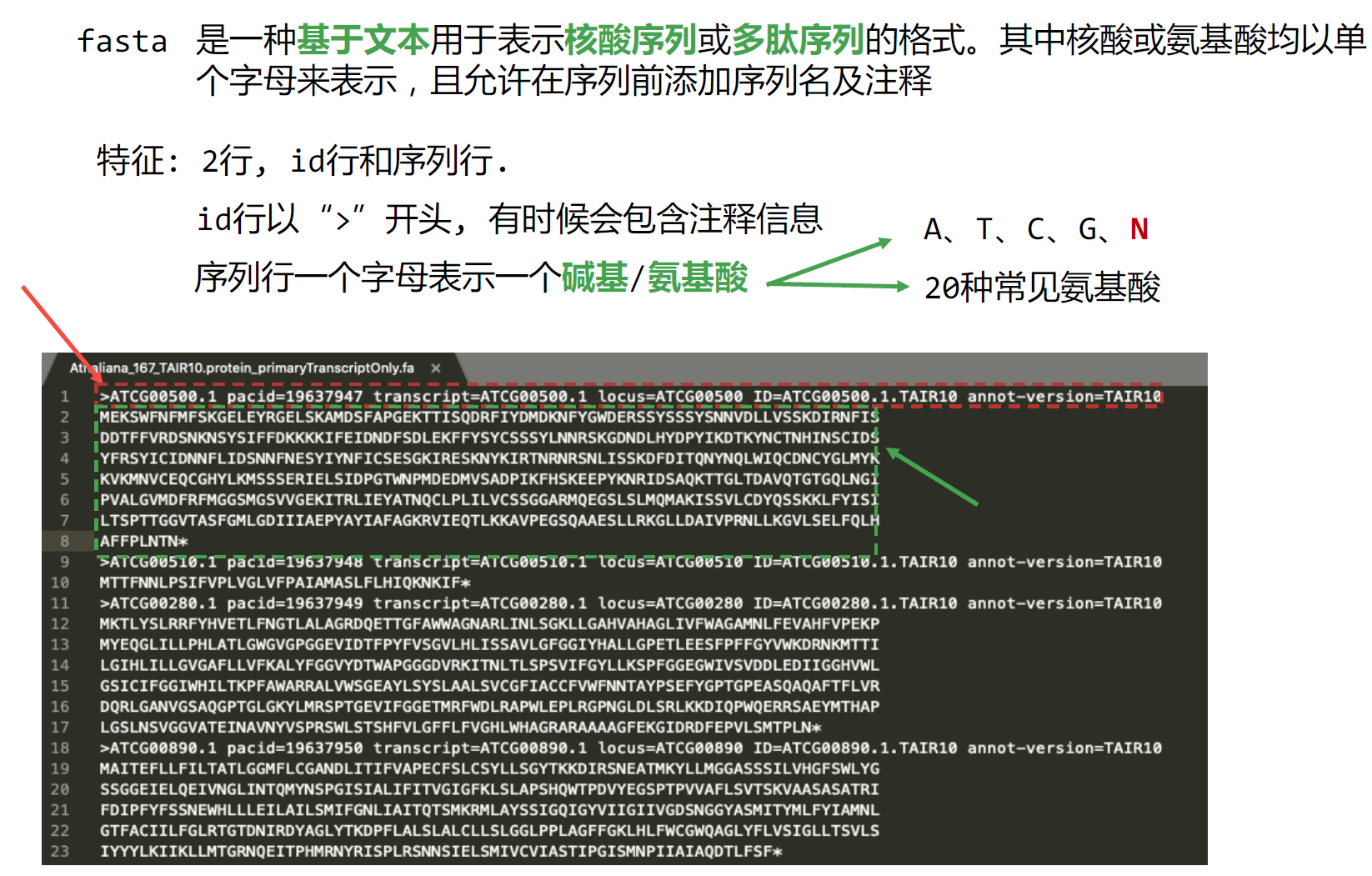 生物信息学常见数据格式 • fasta • fastq • gff/gtf_生物信息学序列格式-CSDN博客