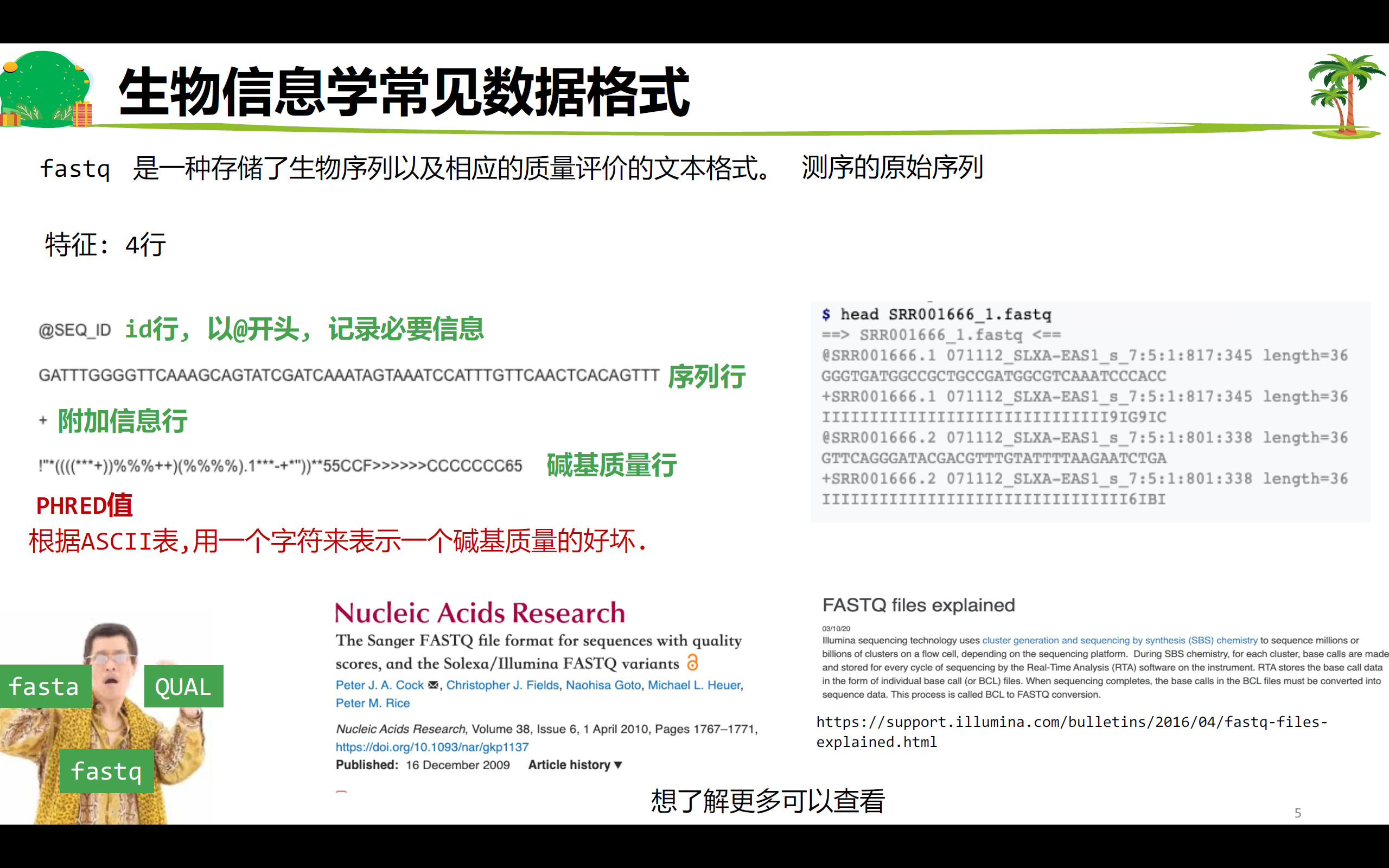 生物信息学常见数据格式 • fasta • fastq • gff/gtf_生物信息学序列格式-CSDN博客