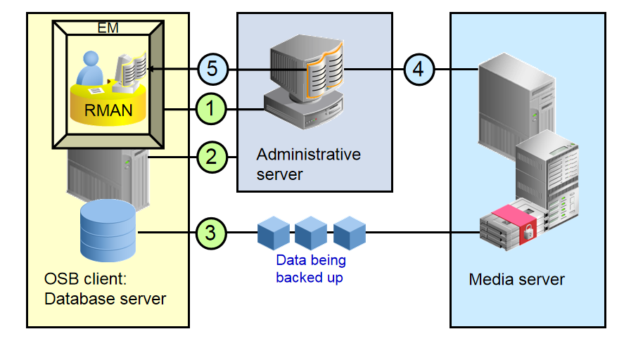 ORACLE_OCP之RMAN的安全备份（OSB）_oracle secure backup-CSDN博客