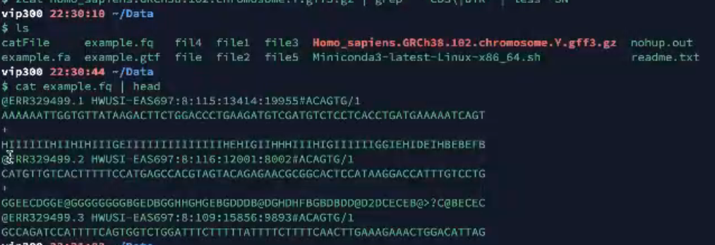 生物信息学常见数据格式 • fasta • fastq • gff/gtf 练习题_linux中fasta、fastq练习-CSDN博客