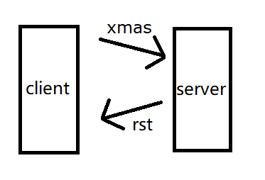 Nmap常用扫描参数说明及Xmas Tree扫描介绍_xmas扫描-CSDN博客