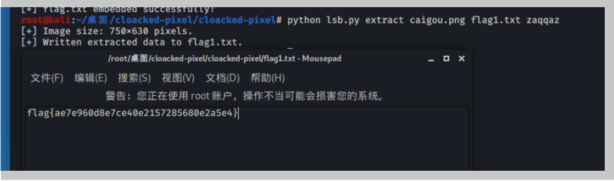 cloacked-pixel隐写-CSDN博客
