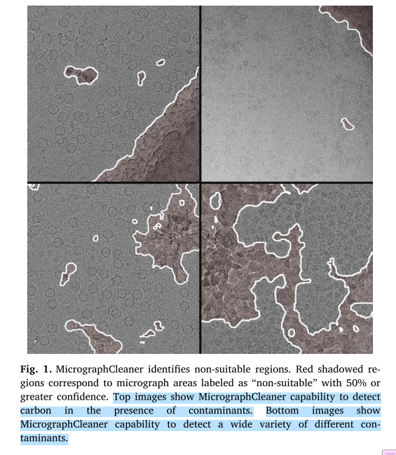 【冷冻电镜|论文阅读】MicrographCleaner：基于深度学习的冷冻电镜图像清理Python包_empiar-10045数据集预览 ...