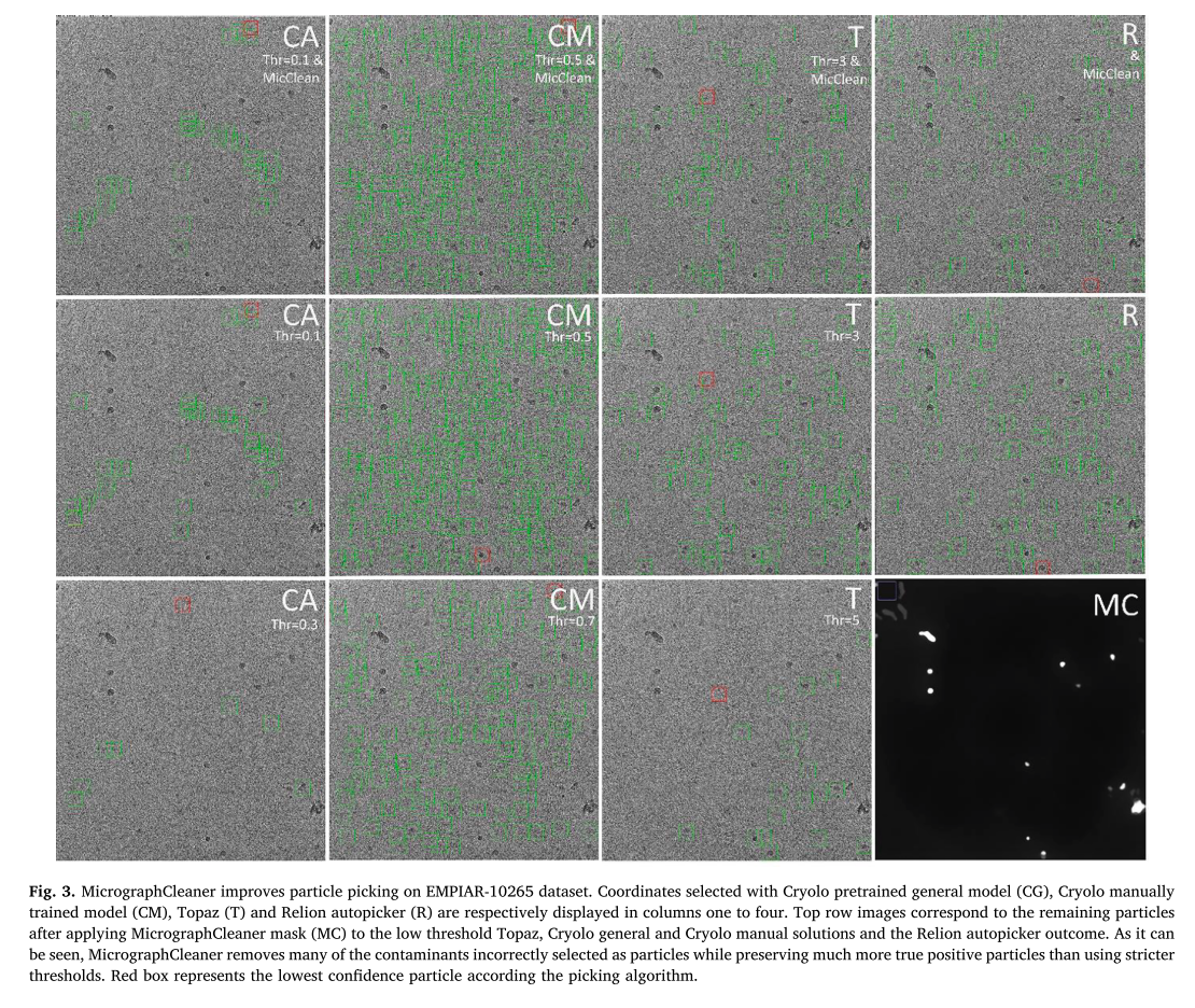 【冷冻电镜|论文阅读】MicrographCleaner：基于深度学习的冷冻电镜图像清理Python包_empiar-10045数据集预览 ...