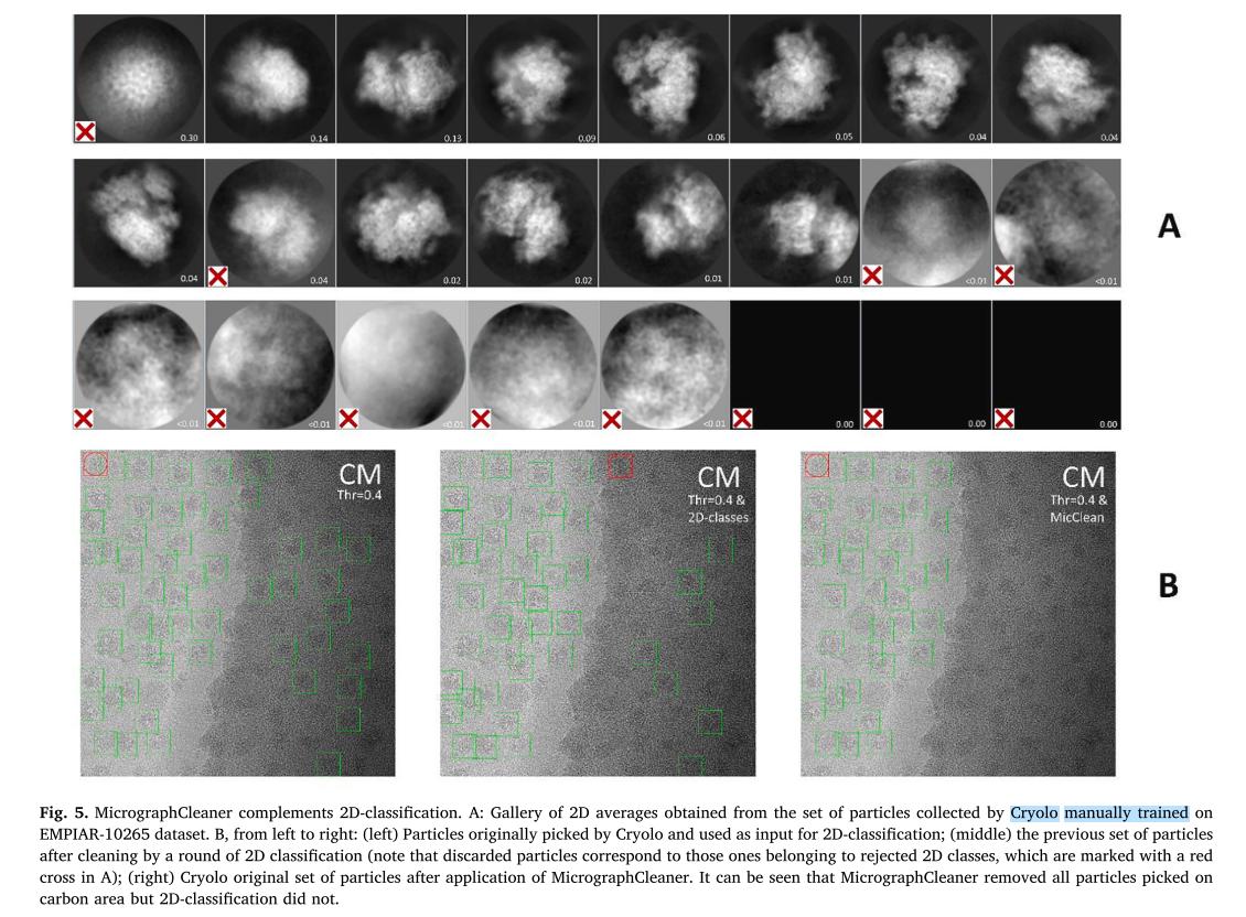 【冷冻电镜|论文阅读】MicrographCleaner：基于深度学习的冷冻电镜图像清理Python包_empiar-10045数据集预览 ...