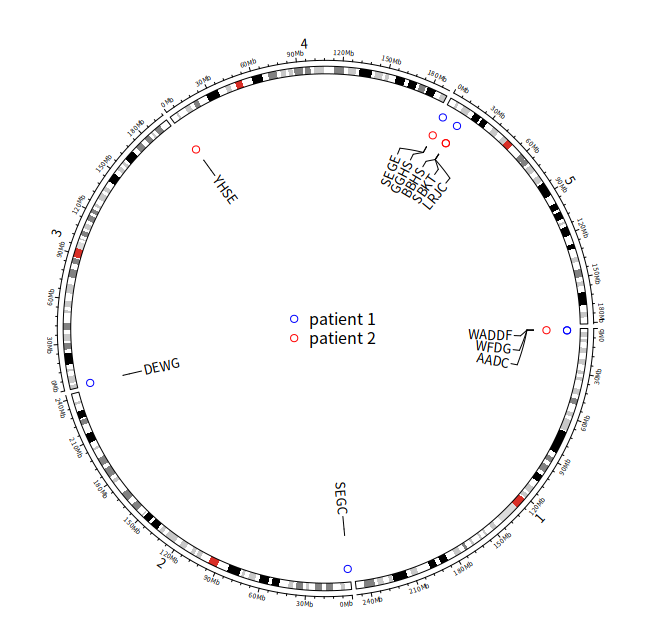 使用基因组圈图表示变异在基因组内位置|R circlize包_大鼠基因组圈图-CSDN博客