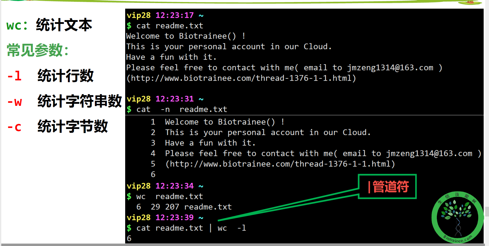 Linux系统介绍 文本查看、操作、统计命令（head/tail cat/tac less/more • wc sort uniq • cut paste）_zless -sn-CSDN博客